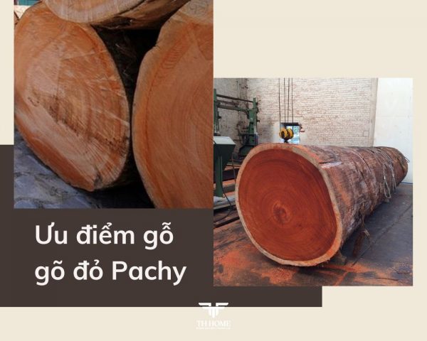 Gỗ gõ đỏ Pachy là gì? Cách nhận biết gỗ gõ đỏ Pachy thật - THHOME